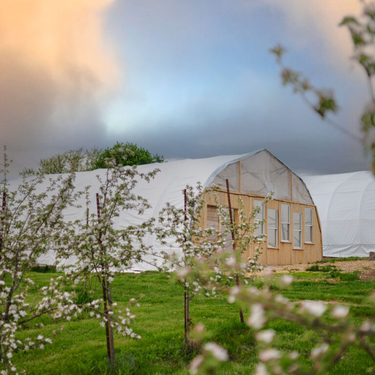 Home - Orchard Ridge