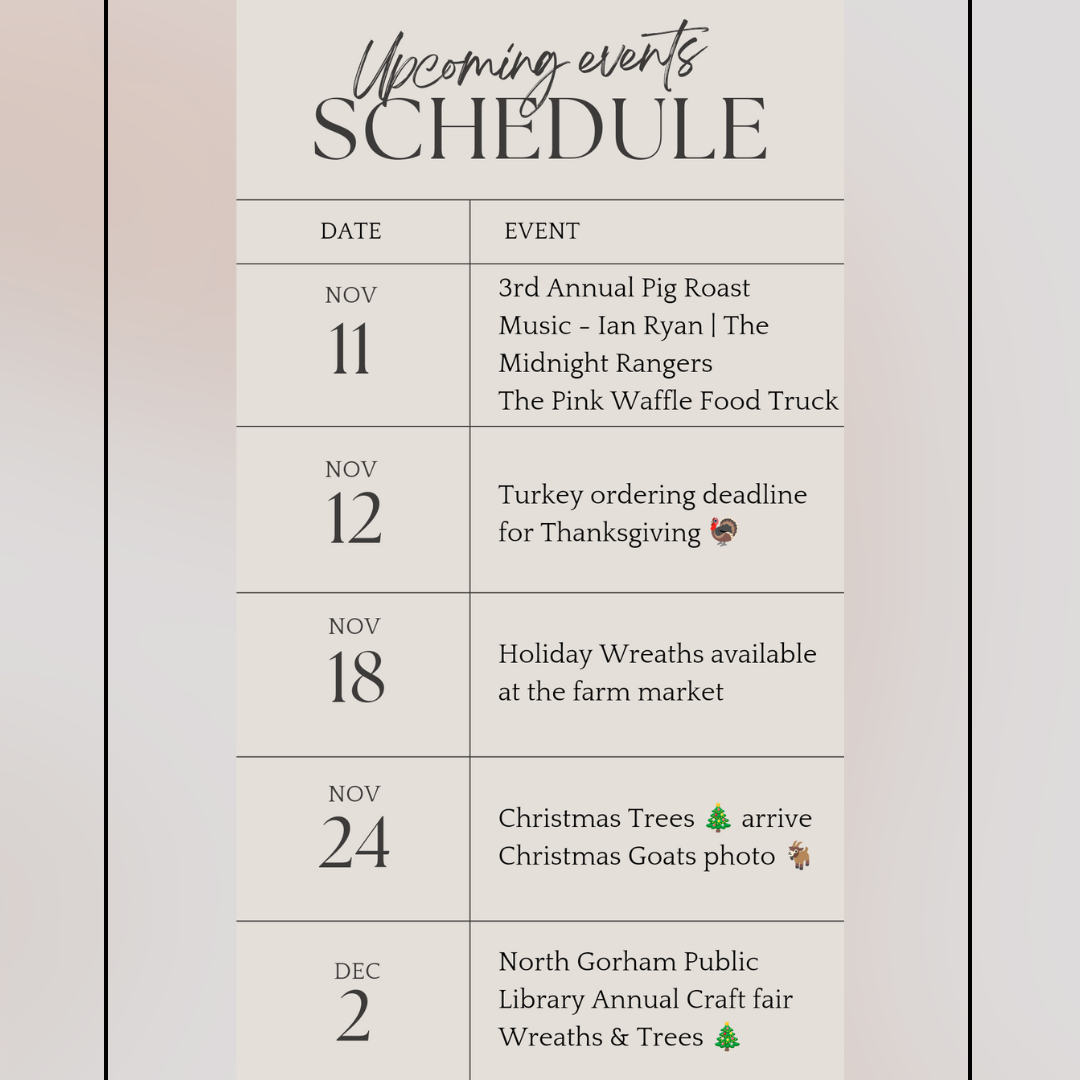 Home - Orchard Ridge